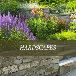 Landscape Design, Lawn Care | Grand Junction, Montrose, Rifle ...